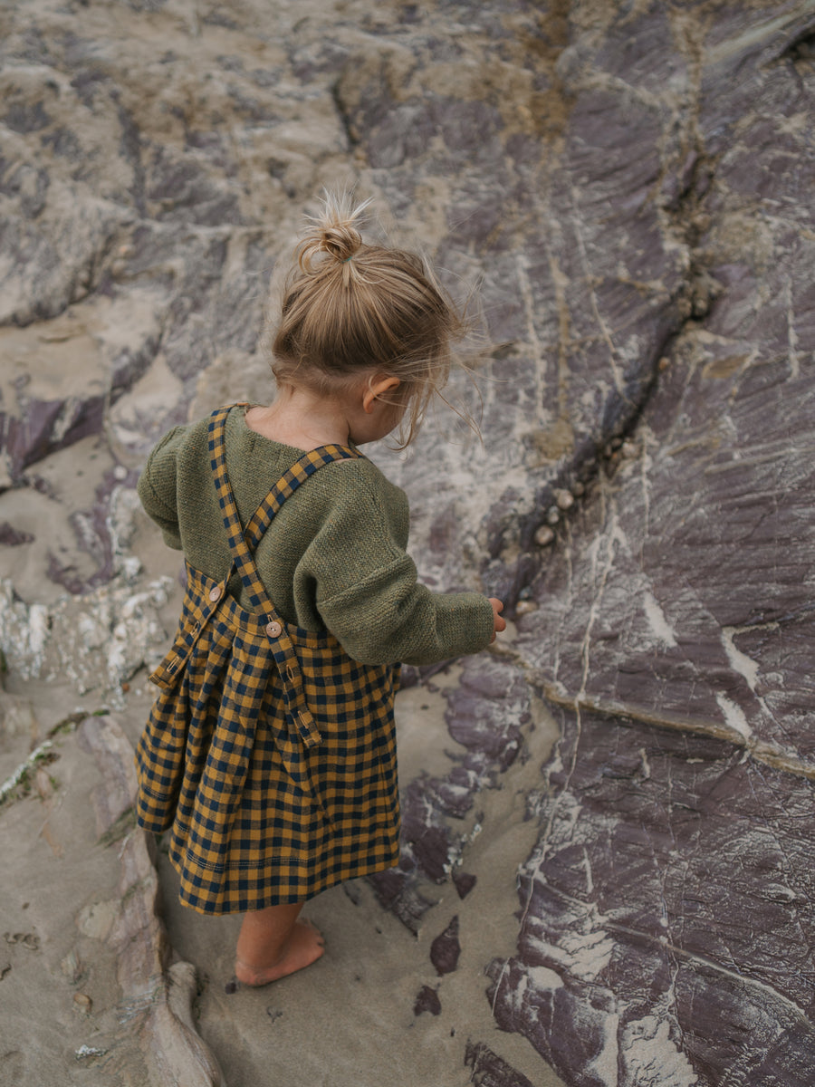 Blueberry Gingham Tribe Skirt | Organic Zoo